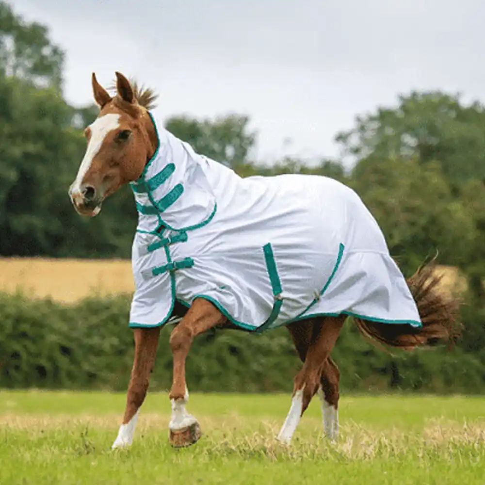 Shires Tempest Original Fly Combo Rug | Wadswick