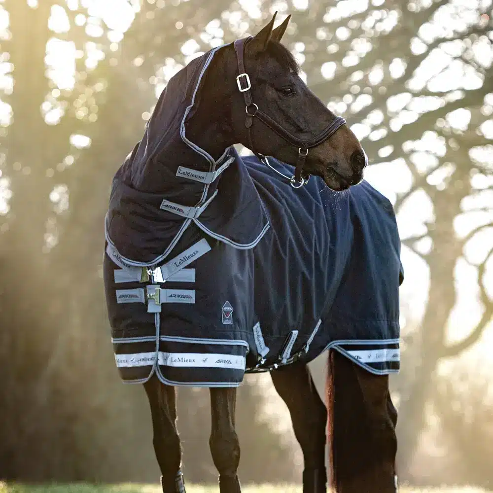 LeMieux Arika Storm Tek 350g Turnout Rug | Wadswick Ltd.
