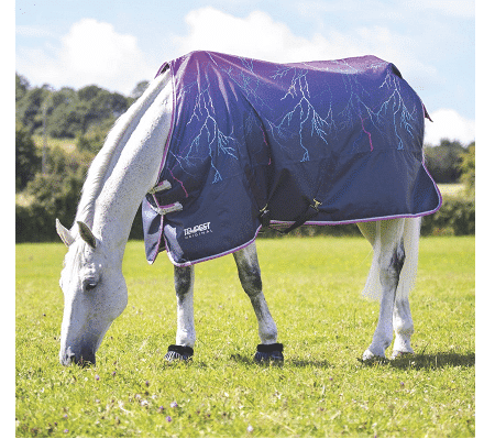 Shires Tempest Original 100g Turnout Rug | Wadswick