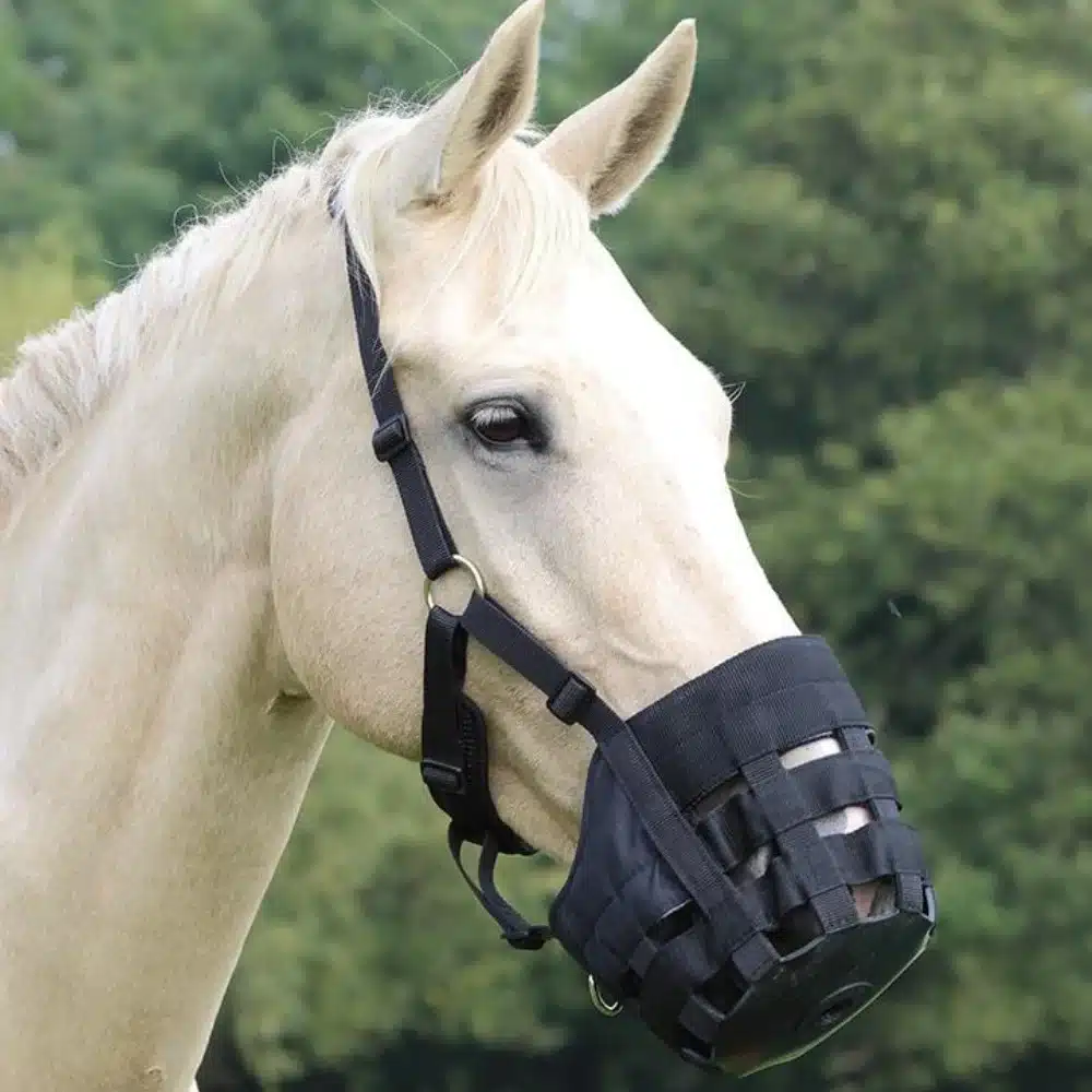 Shires Comfort Grazing Muzzle | Wadswick Country Store Ltd.