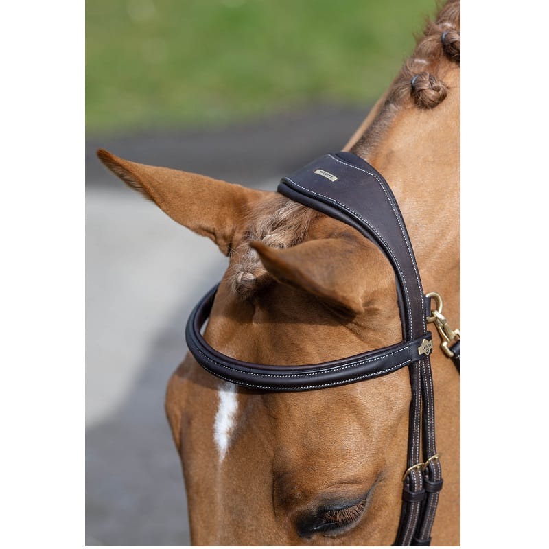 LeMieux Work Bridle | Wadswick Country Store Ltd