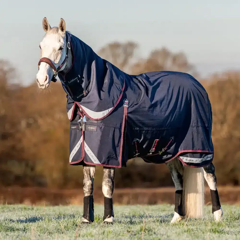 LeMieux Kudos Turnout Rug 100g Navy | Wadswick