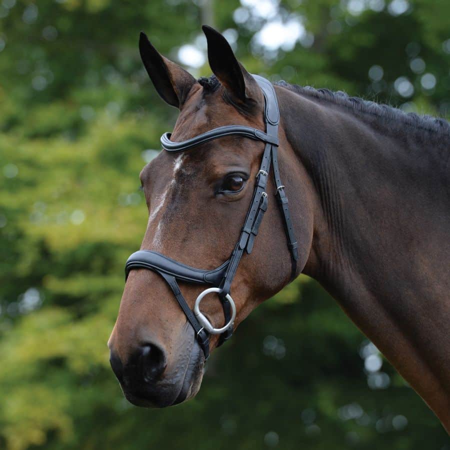 Collegiate Comfitec Vogue Anatomical Bridle | Wadswick