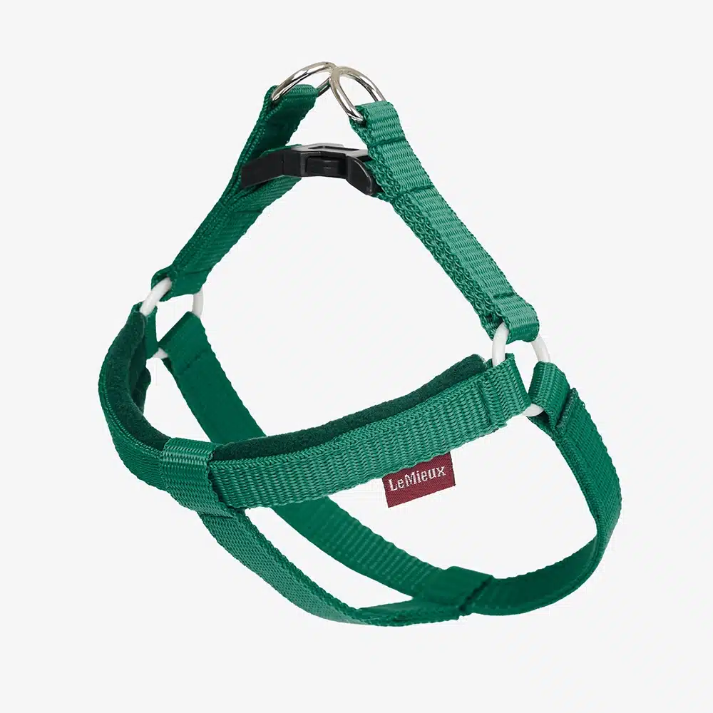 LeMieux Toy Dog Harness Evergreen | Wadswick Country Store Ltd