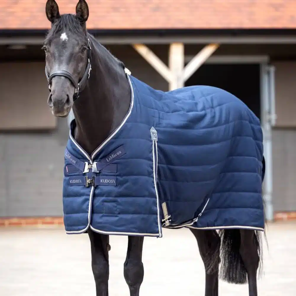 LeMieux Kudos Stable Rug 200g Navy | Wadswick Ltd.